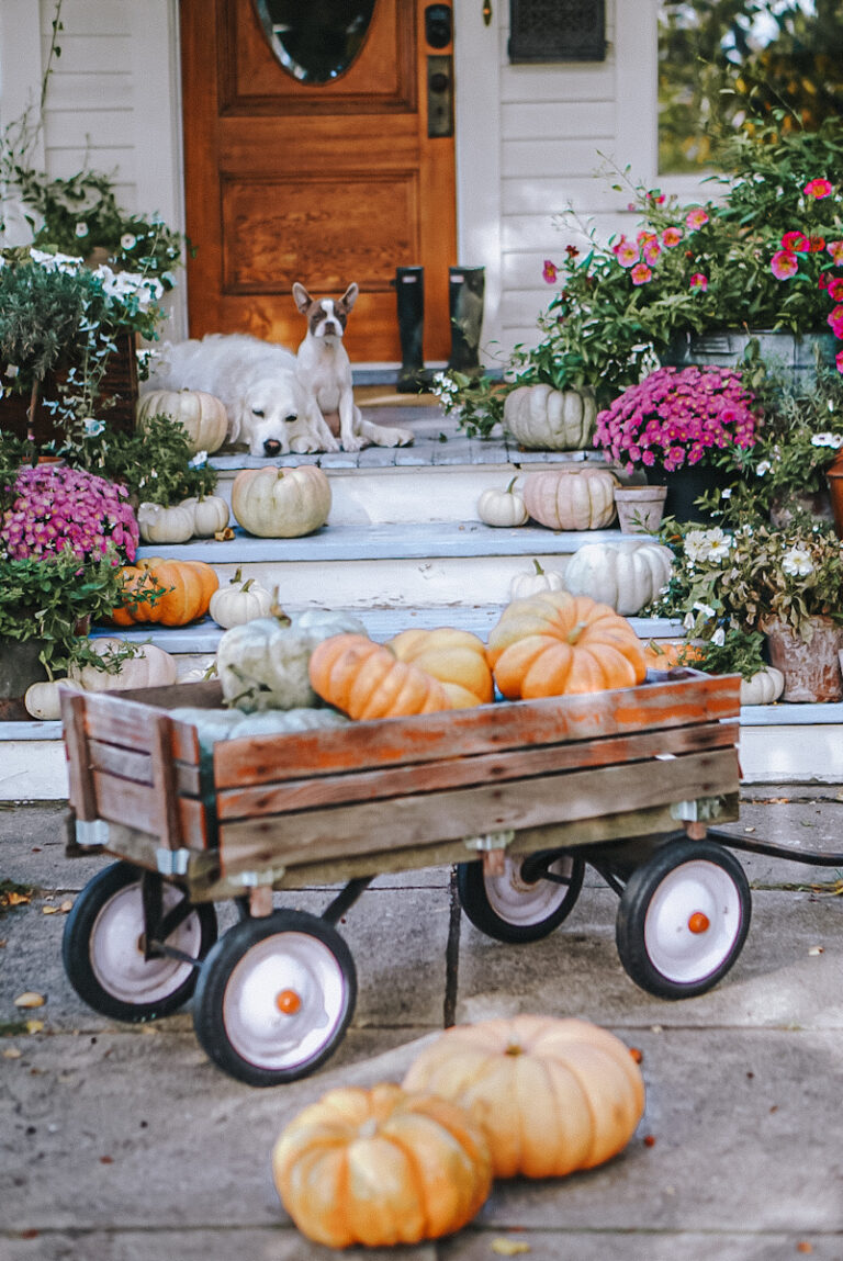 21 Natural Fall Decor Ideas for a Cozy, Seasonal Home
