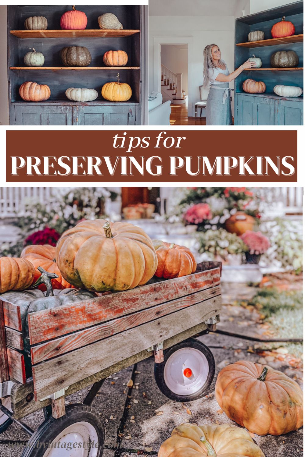 How To Preserve Pumpkins: Simple Tips for Long Lasting Pumpkins | B ...