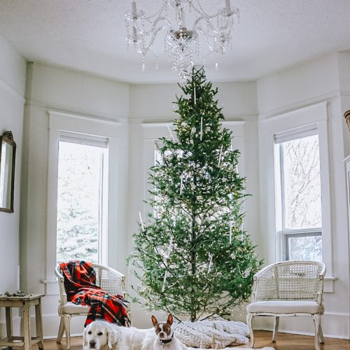 25 Ways to Decorate With Non Christmas Winter Decorations 2023 | B ...